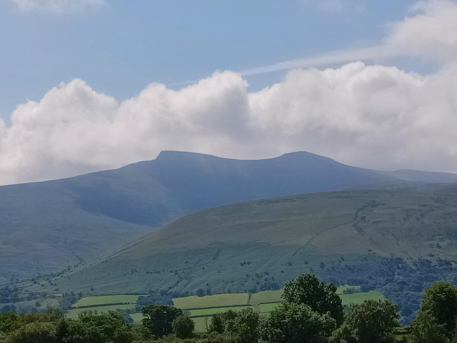 TCL 50 SE Review - What Gadget